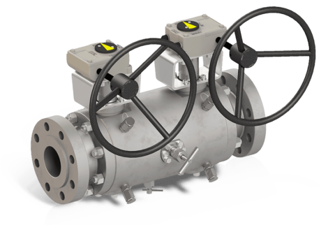 Double Block & Bleed Valves | Bhola Engineers Pvt. Ltd.